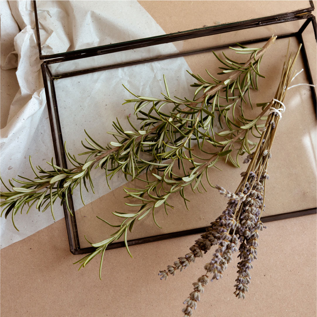 botanical – Oway New Zealand